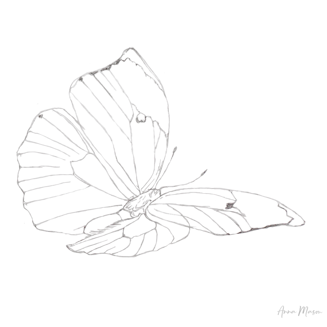 Getting Started with Freehand Drawing – Anna Mason Art Getting Started with Freehand Drawing – Anna Mason Art