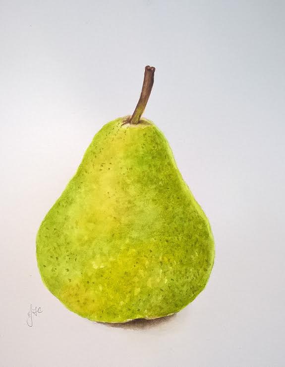 Williams Pear – Anna Mason Art