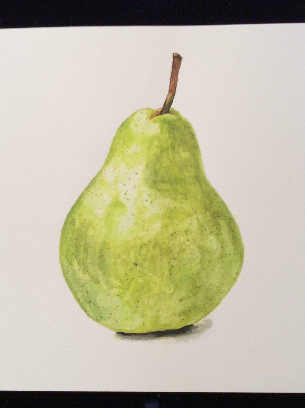 Williams Pear – Anna Mason Art