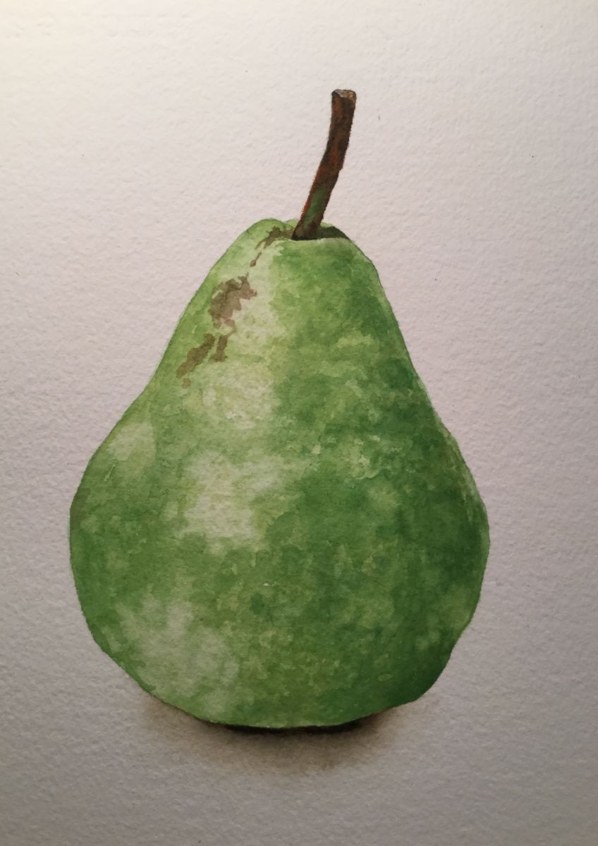 Williams Pear – Anna Mason Art
