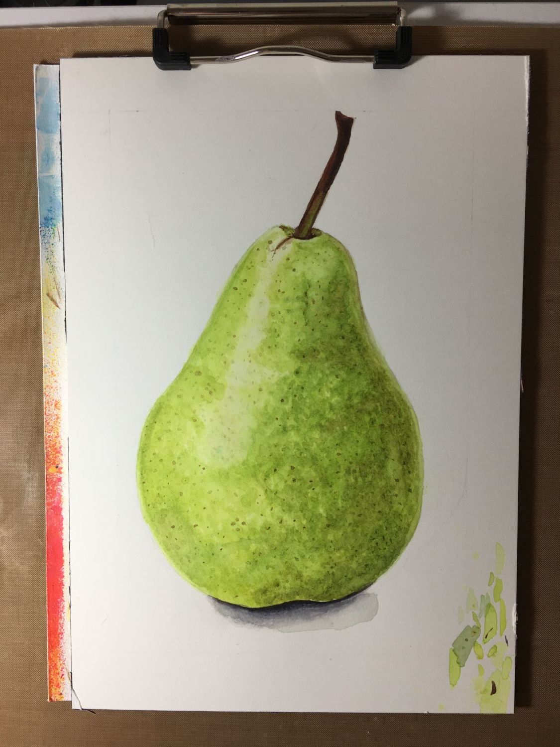Williams Pear – Anna Mason Art