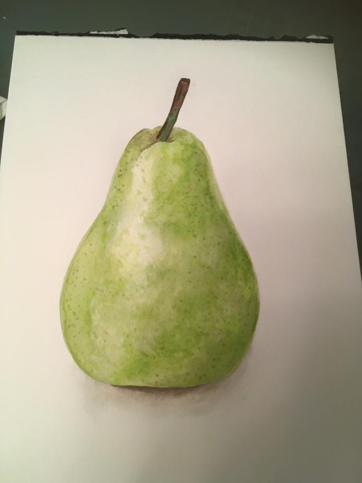 Williams Pear – Anna Mason Art